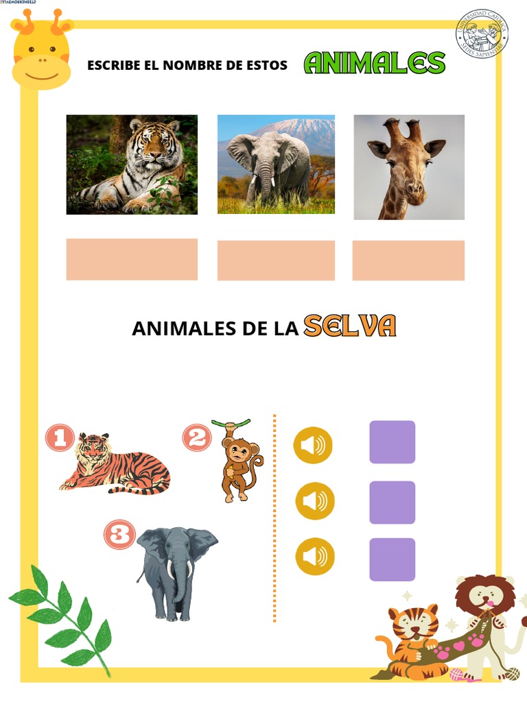 Animales de La Selva | PDF