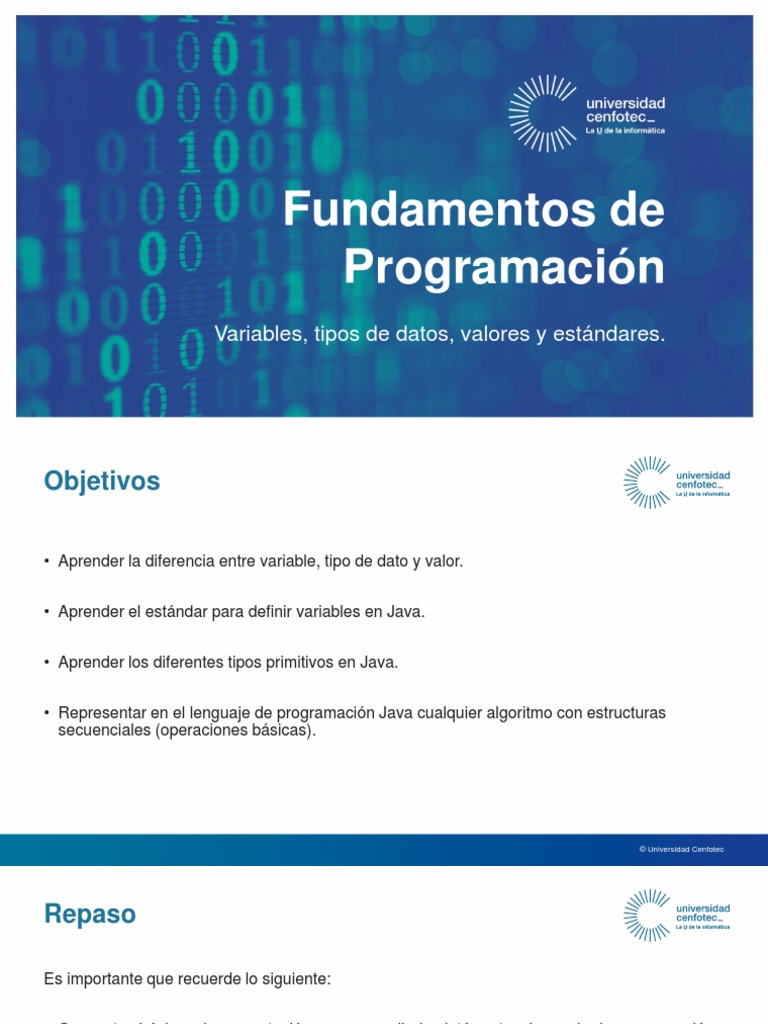 Variables Tipos De Datos Valores Y Estándares Pdf Tipo De Datos Java Lenguaje De