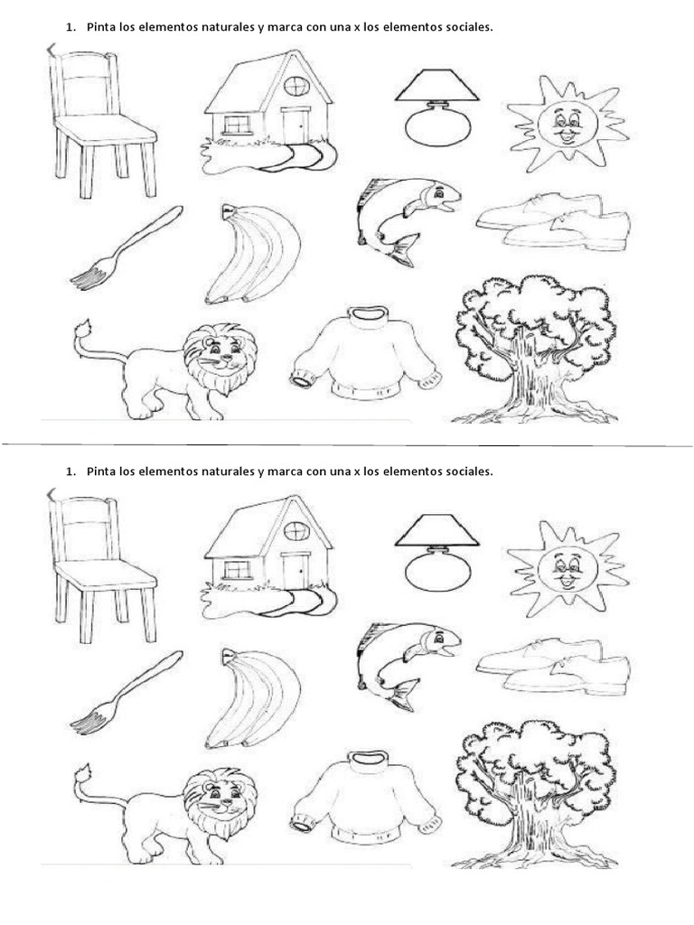Elementos Naturales y Sociales | PDF