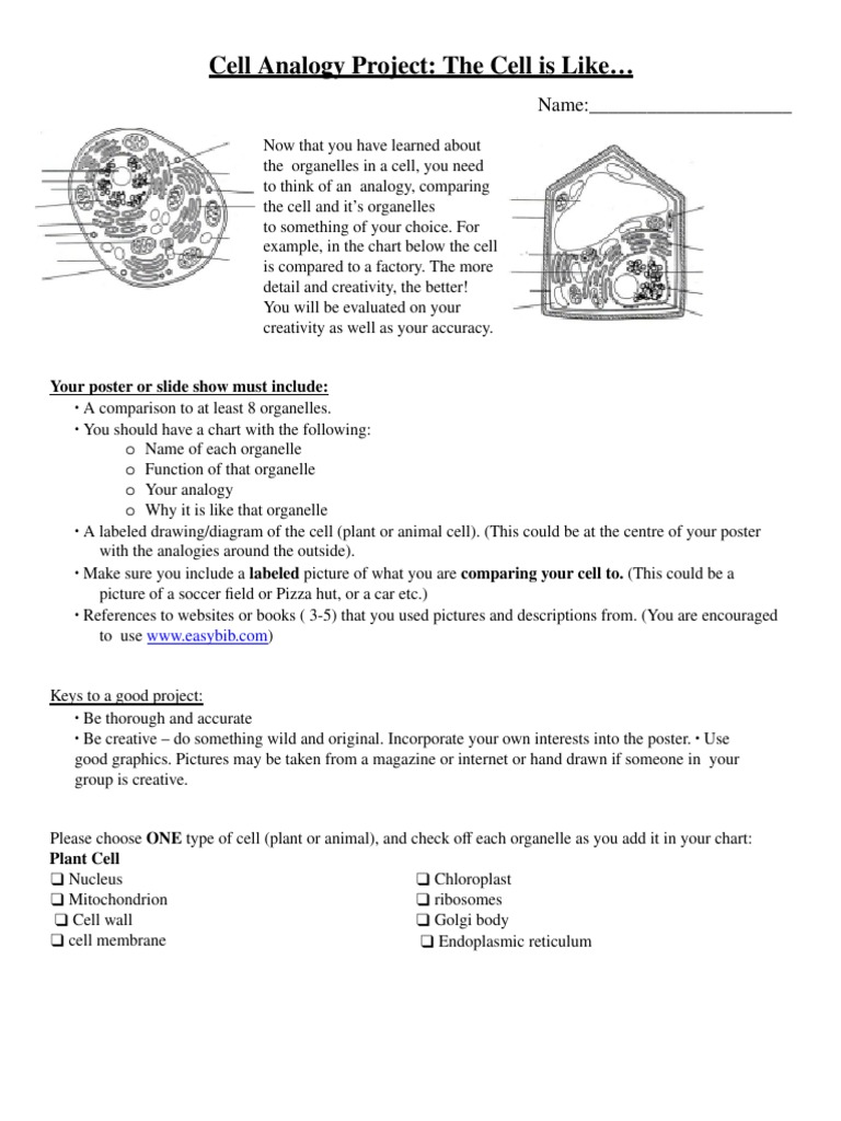 Cell Analogy Project | PDF | Cell (Biology) | Organelle