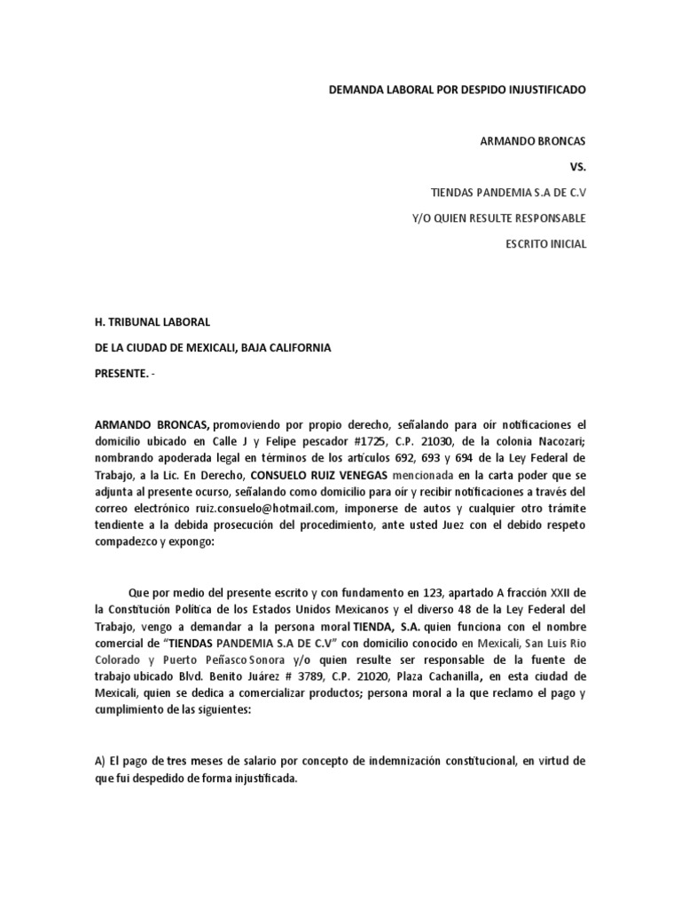 Demanda Laboral Final | Descargar gratis PDF | Salario | Gobierno