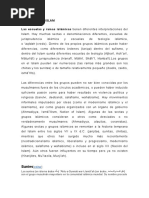 Introducción al Chiismo Islámico | PDF | Religión y espiritualidad