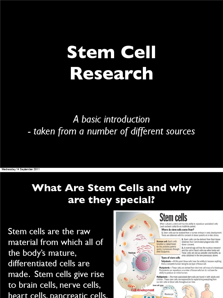 A Christian perspective on stem cells | Stem Cell | Cell Potency