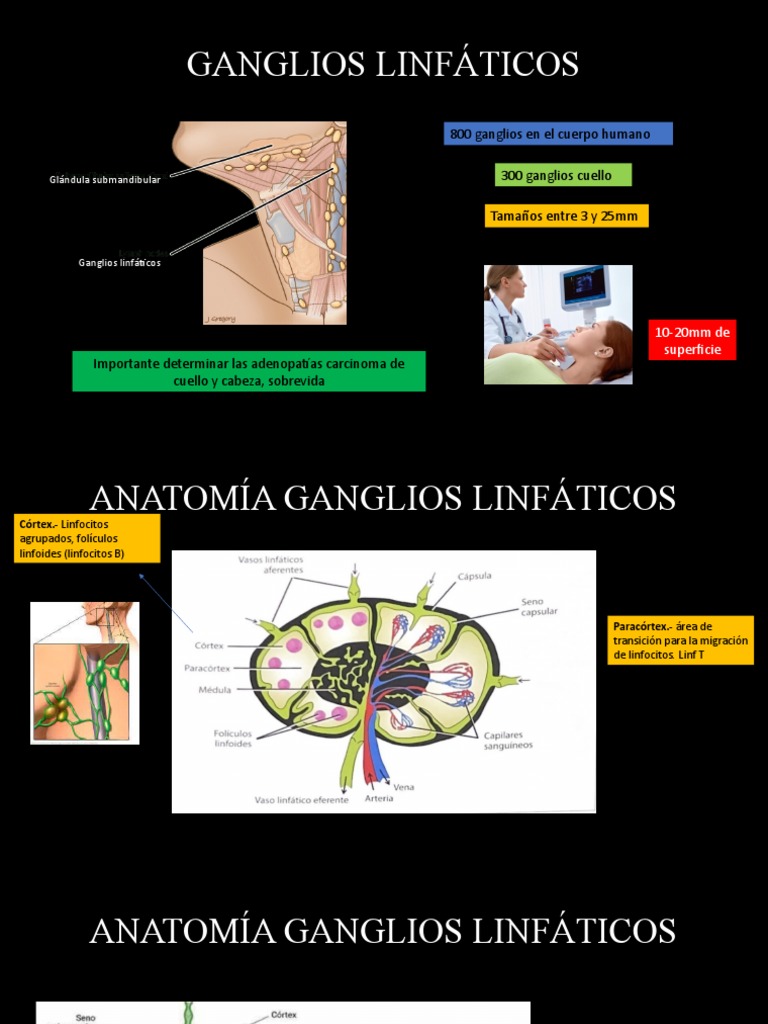 Imagenologia Caracteristicas Benignas y Malignas Ganglios | Descargar ...