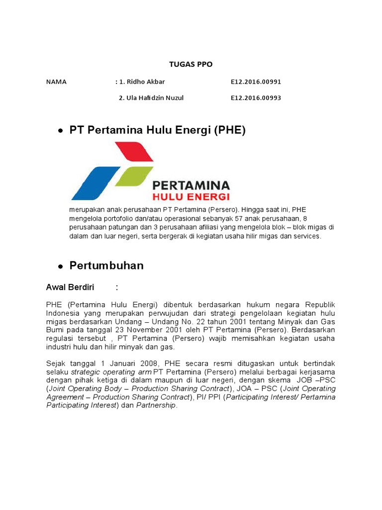 Tugas Ppo Krisis Perusahaan | PDF