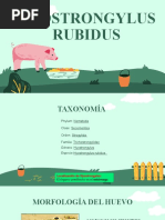 Técnica McMaster en Parasitología Veterinaria | PDF | Agua | Química