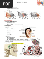 Anat Physio ORL | PDF | Oreille | Système vestibulaire