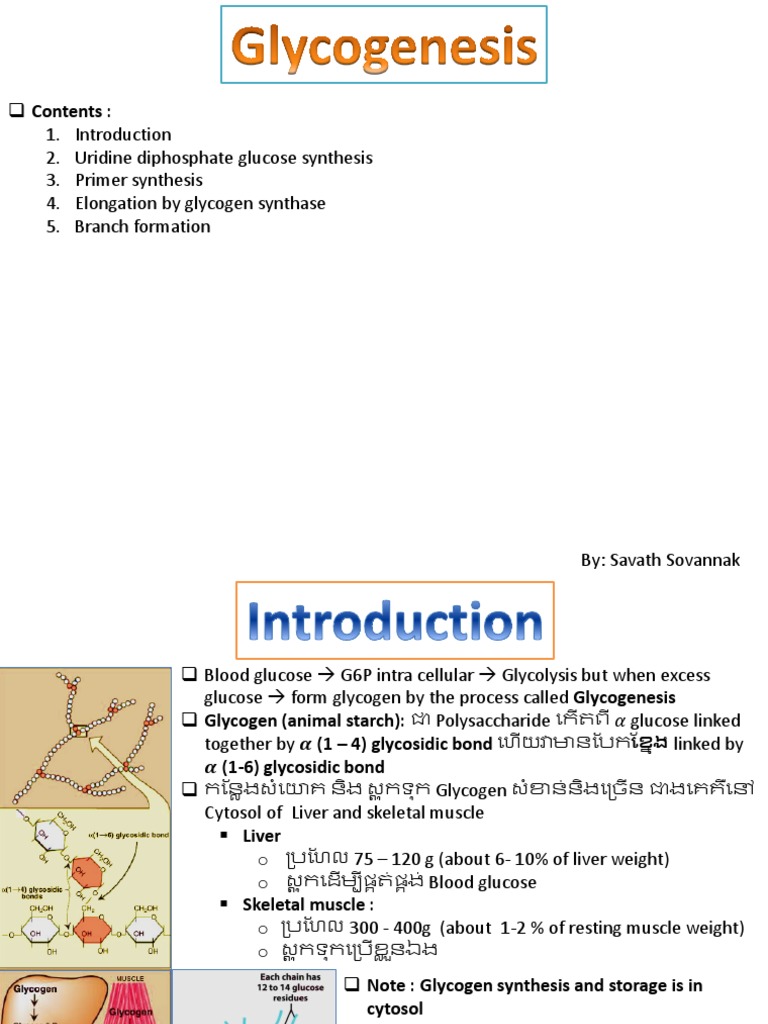 5 Glycogenesis | PDF