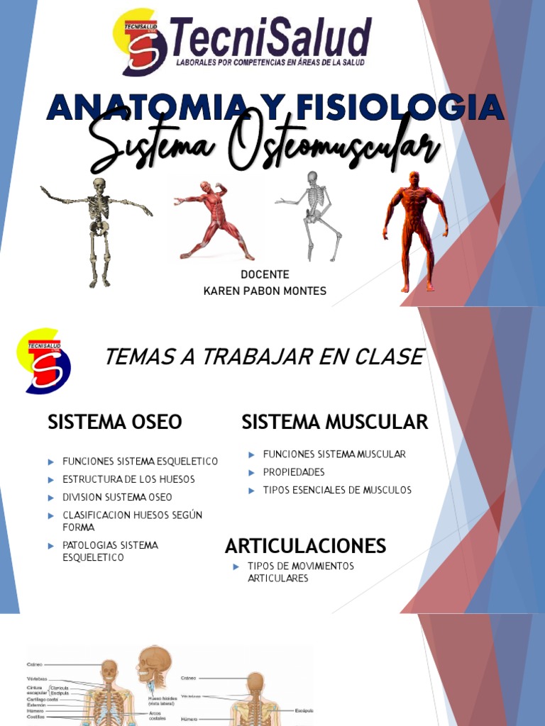 Presentacion Sist Osteomuscular Pdf Articulación Hueso