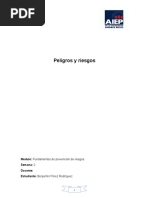 Tipos y ejemplos de peligros y riesgos | PDF | Residuos