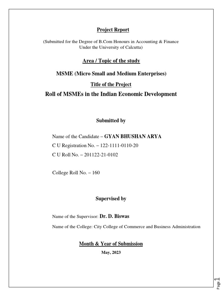 Project Report Msme | Download Free PDF | Entrepreneurship | Small And Medium Sized Enterprises