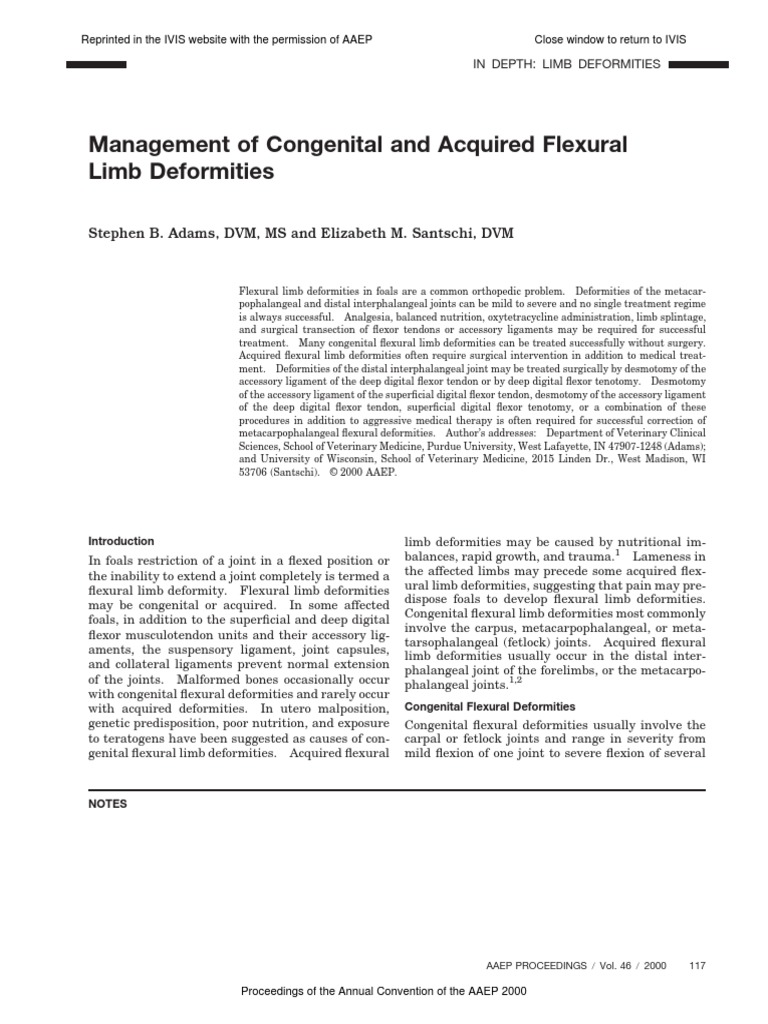 Managing Flexural Limb Deformities | PDF | Foot | Anatomical Terms Of ...