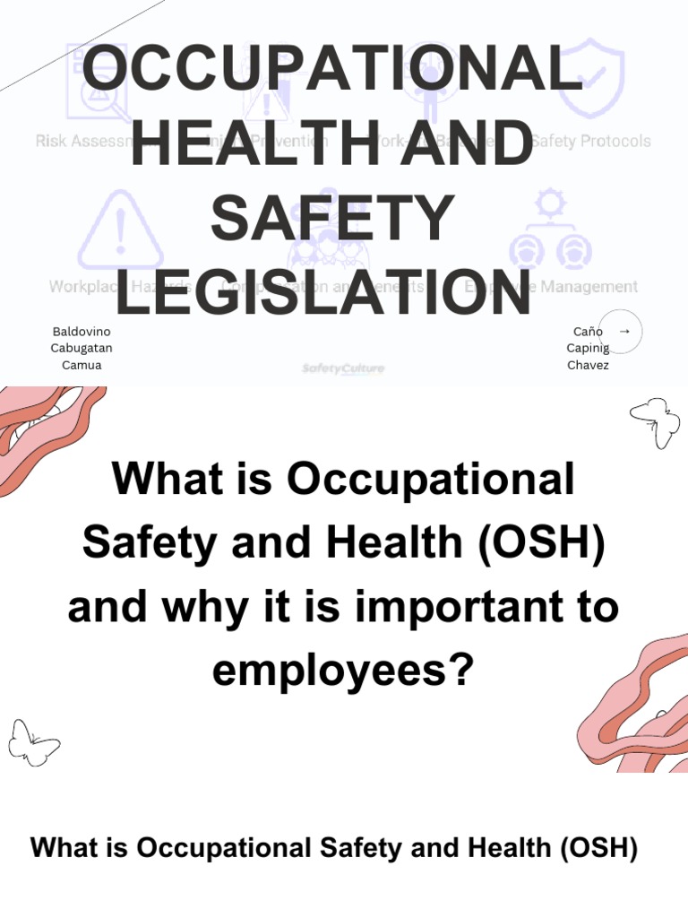 Occupational Health and Safety Legislation Group 2 Ohasstan | PDF ...