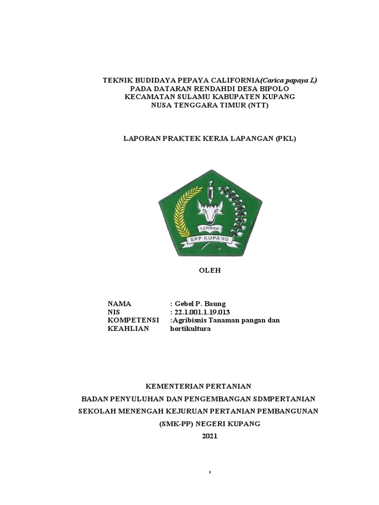 Laporan Gebil Baung | PDF