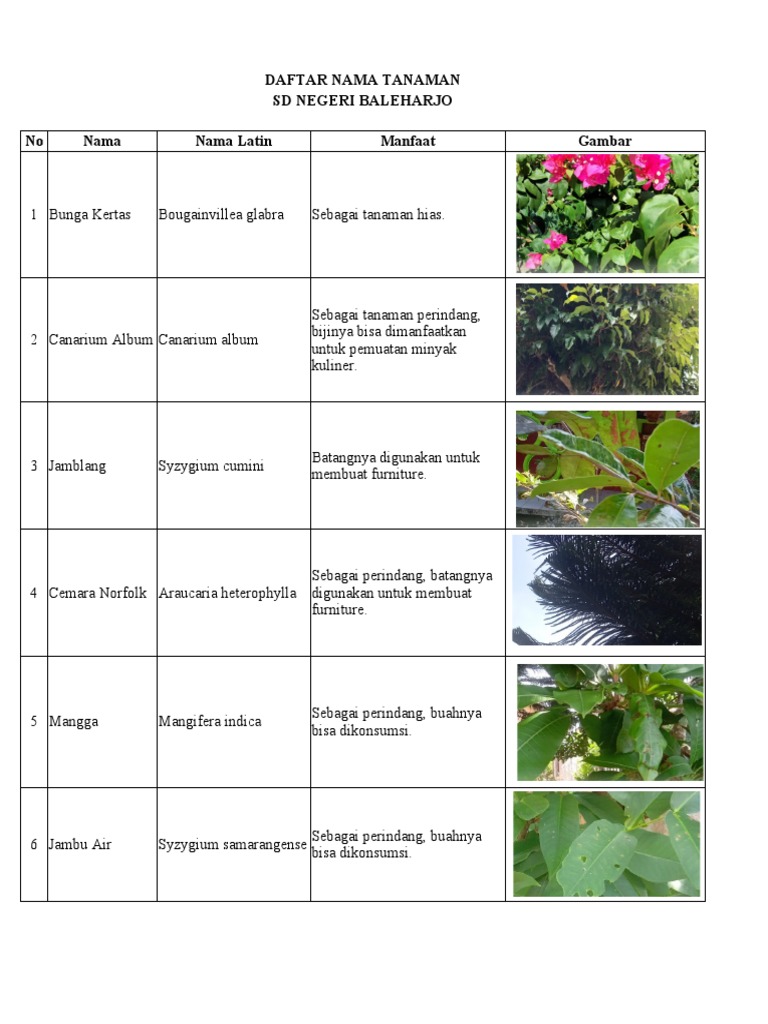 Daftar Tanaman | PDF