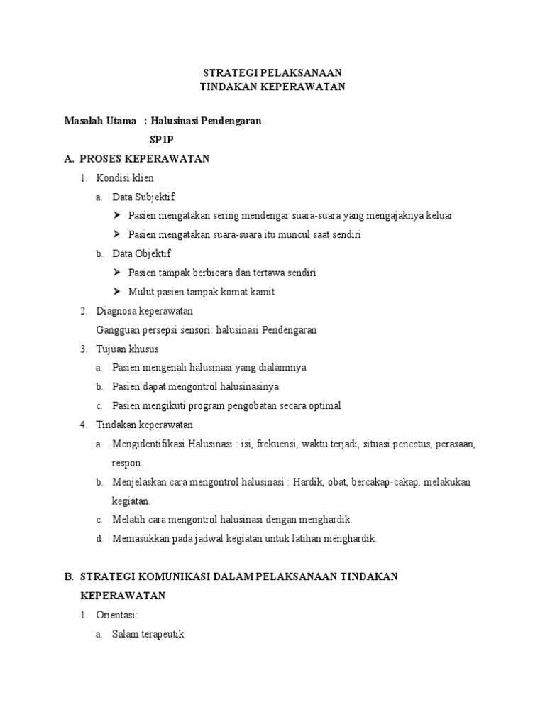Contoh Strategi Pelaksanaan Tindakan Keperawatan Pasien & Keluarga | PDF