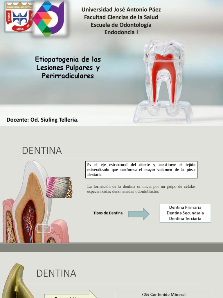 Etiopatogenia de Lesiones Pulpares | PDF | Inflamación | Sistema inmune