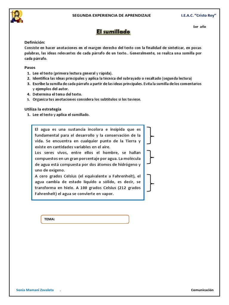 Actividad 6 - El Sumillado | PDF
