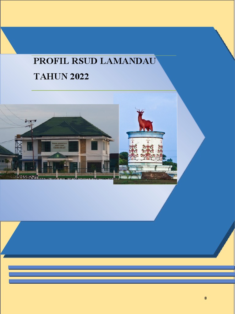 Profil RSUD Lamandau 2022 | PDF | Ilmu Sosial