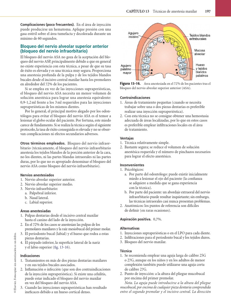 Nervio Infraorbitario y Mentoniano | PDF | Inyección (medicina ...