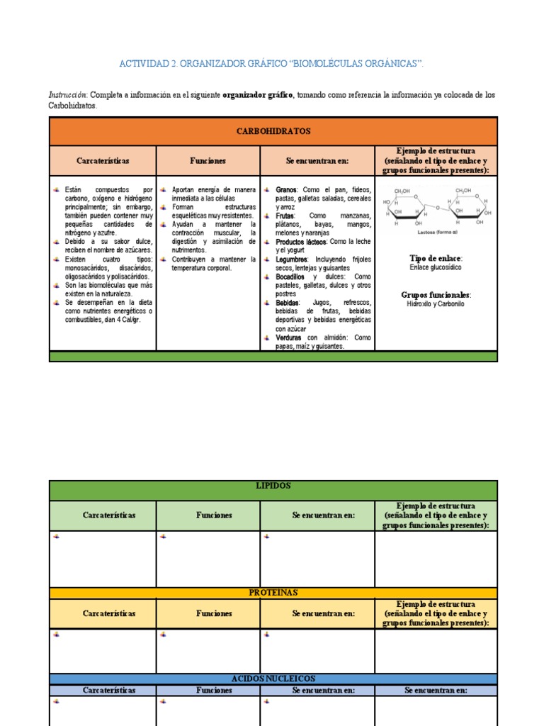 Actividad 2 Organizador Gráfico - Biomoléculas Orgánicas - TSQ Ii | PDF ...
