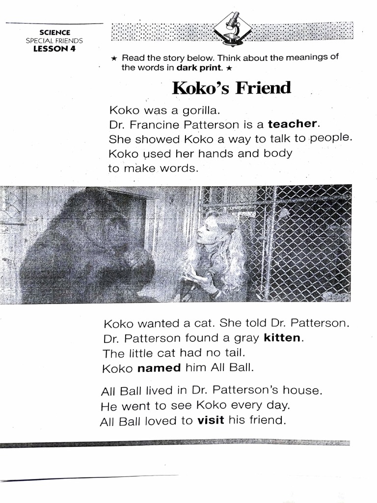 Reading Lesson 4 Pdf Ape