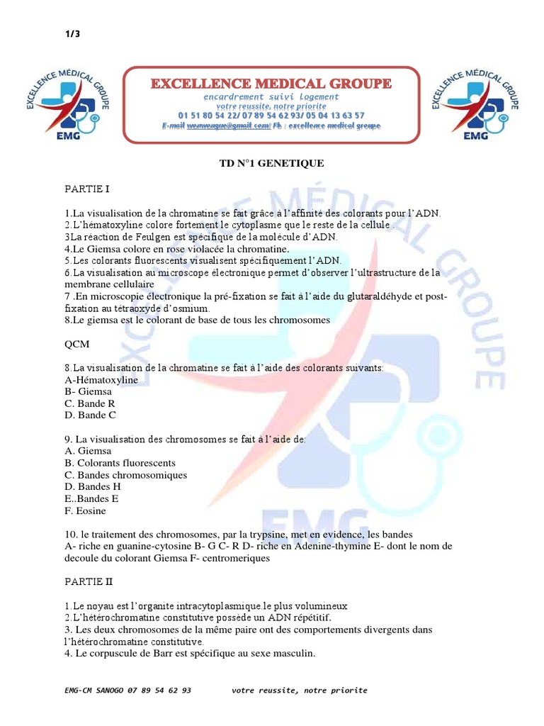 Caractéristiques du noyau pycnotique | PDF | Noyau (biologie) | Acide ...