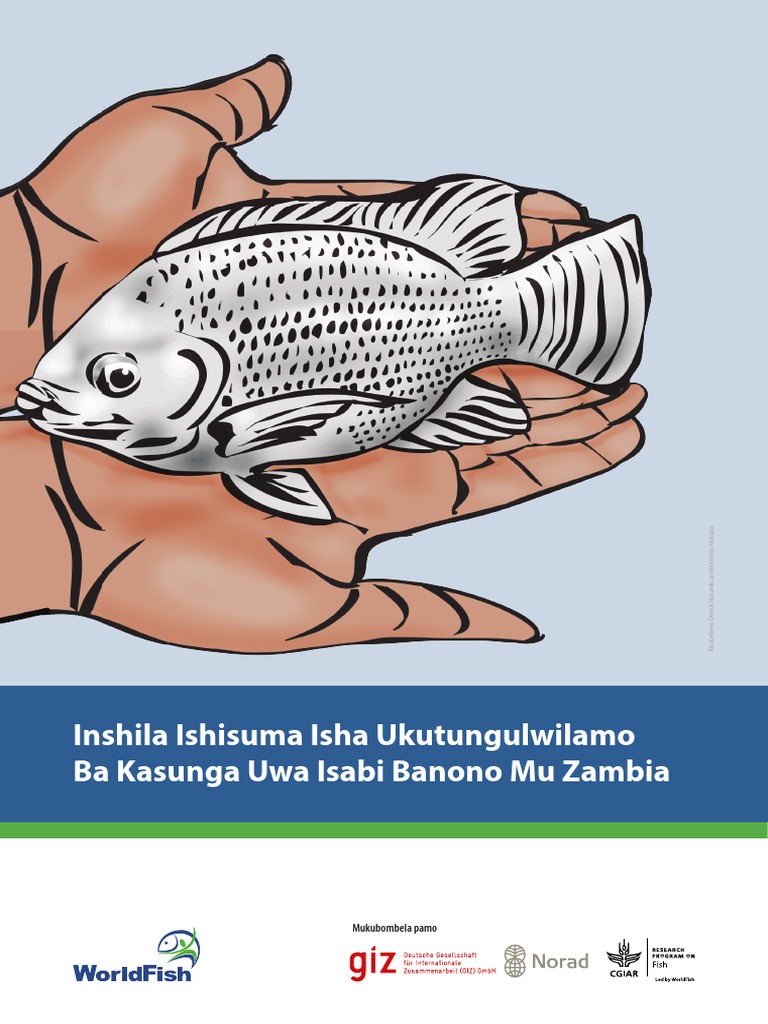 Inshila Ishisuma Isha Ukutungulwilamo Ba Kasunga Uwa Isabi Banono Mu ...