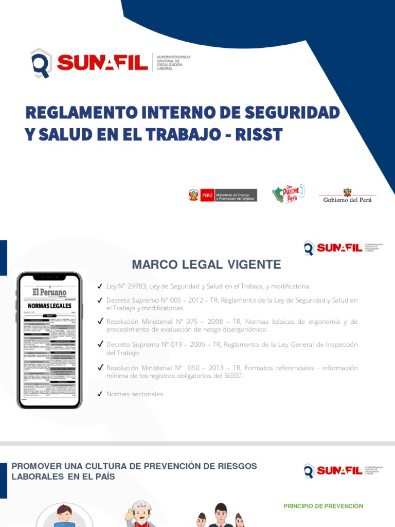 Reglamento Interno de Seguridad y salud en el Trabajo | PDF | Regulación | Outsourcing