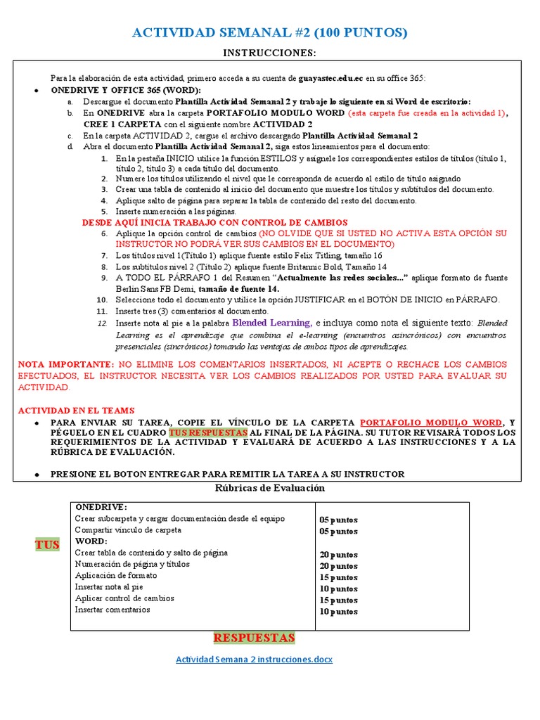 Actividad Semana 2 Instrucciones | PDF | Informática | Software