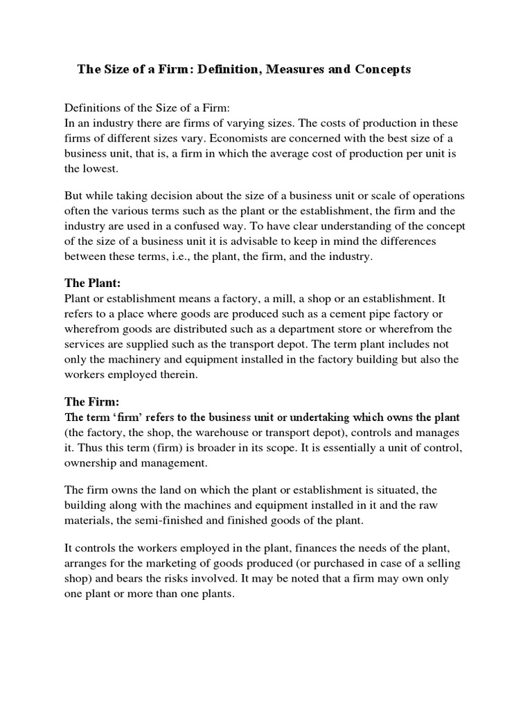 Size of The Firm | PDF | Perfect Competition | Profit (Economics)