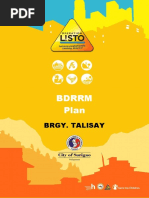 BDRRM LIST OF PPAs | PDF | Emergency Management | Civil Defense