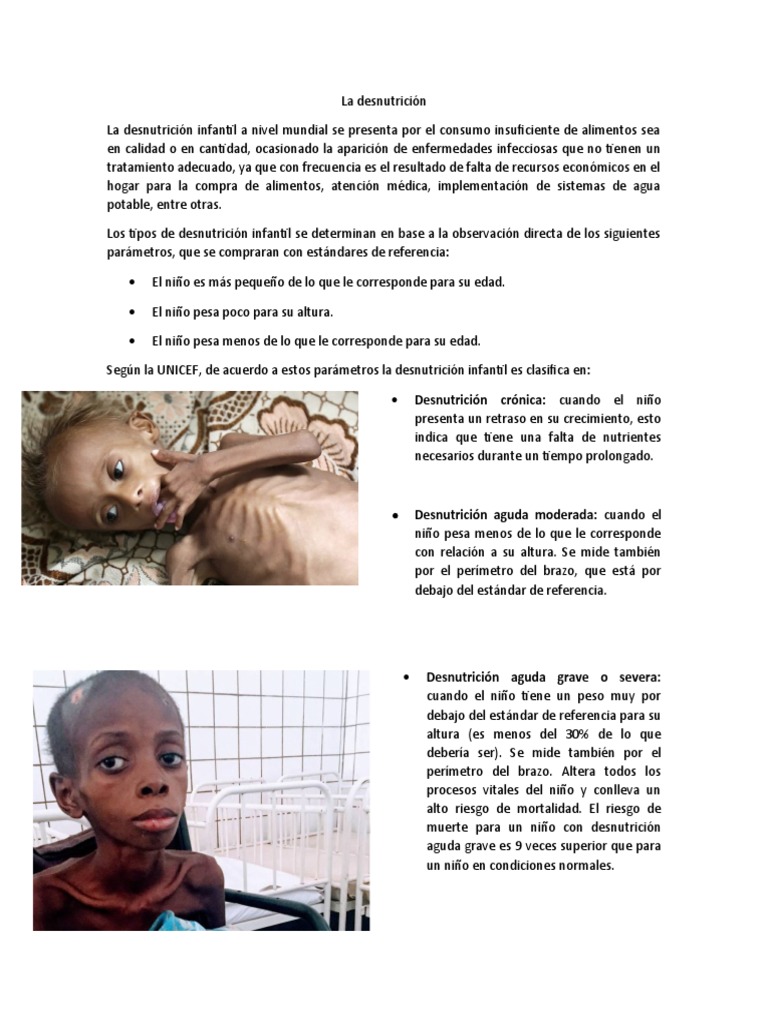 La Desnutrición Pdf Desnutrición El Embarazo