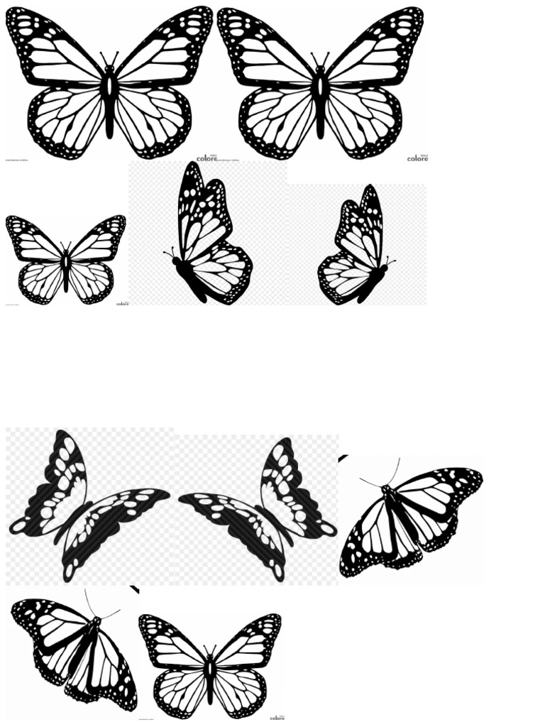 Mariposas para Imprimir | PDF
