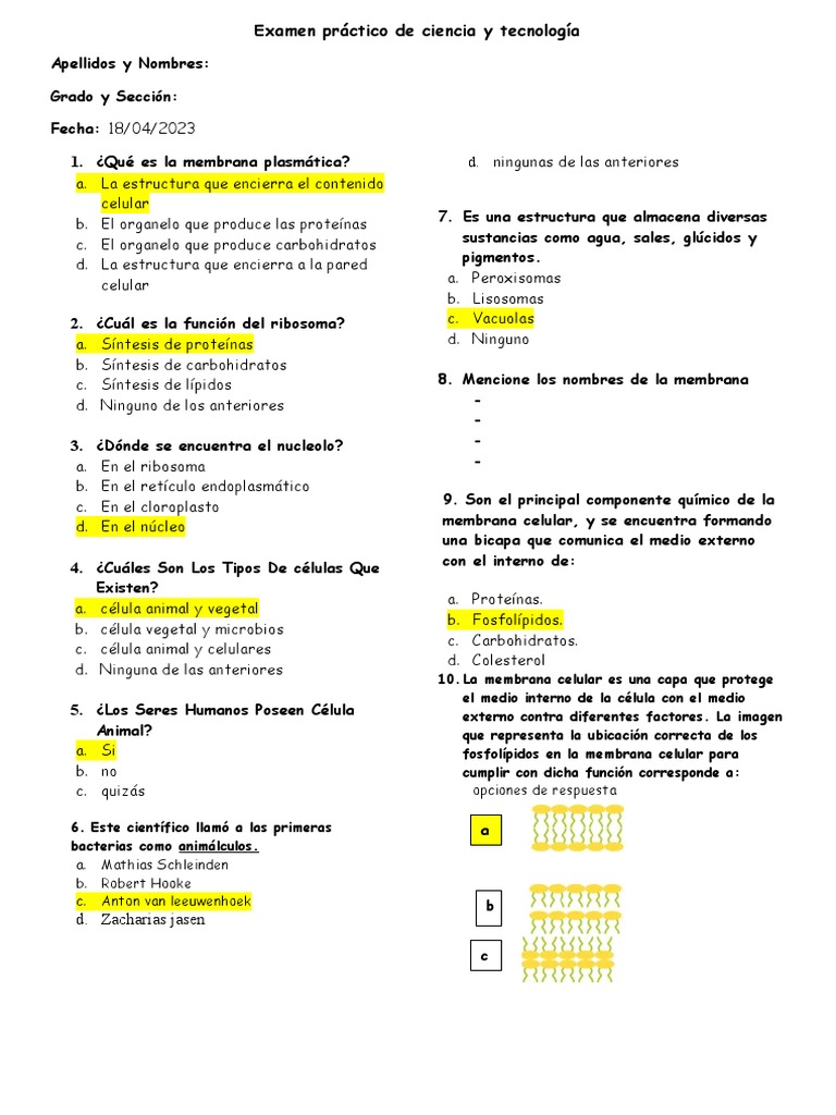 Examen Práctico de Ciencia y Tecnología | PDF | Biología Celular ...