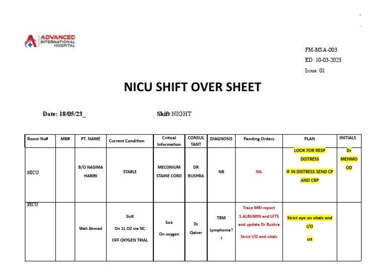 Nicu Over Sheet | PDF