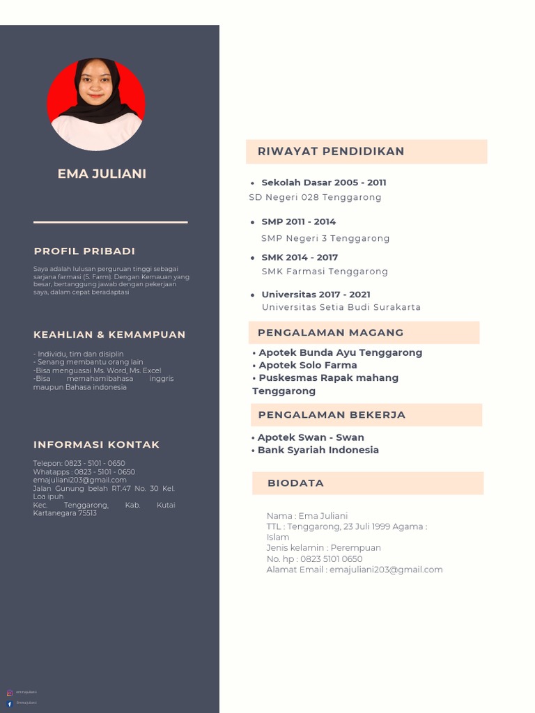 CV EMA JULIANI | PDF