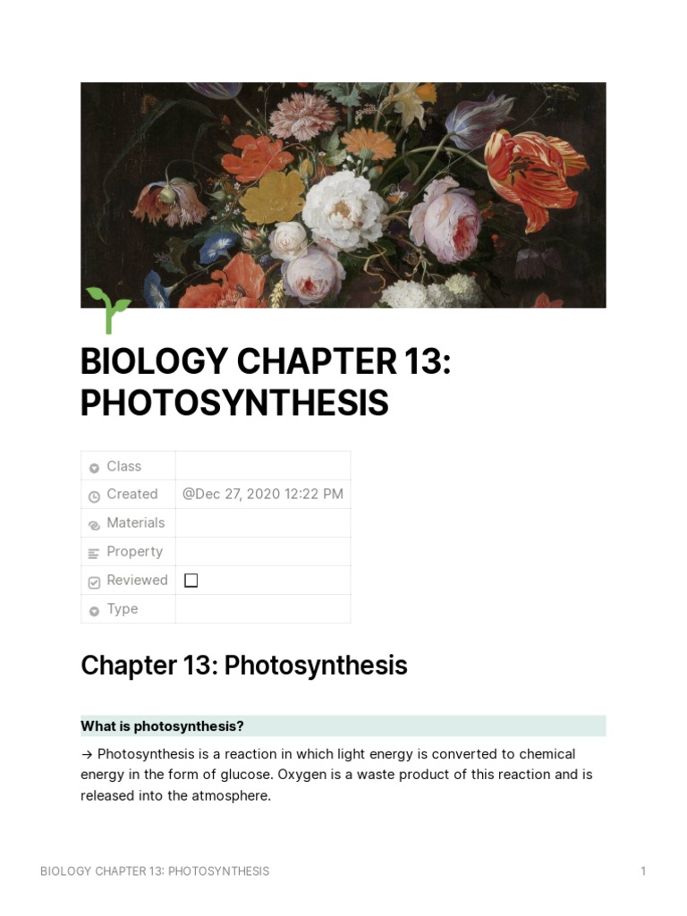 BIOLOGY_CHAPTER_13_PHOTOSYNTHESIS | PDF | Photosynthesis | Biology