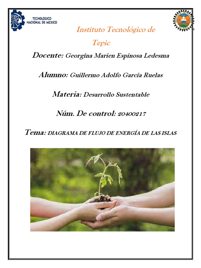 Diagrama de Flujo de Energia de La Isla-Guillermo Adolfo Garcia Ruelas ...
