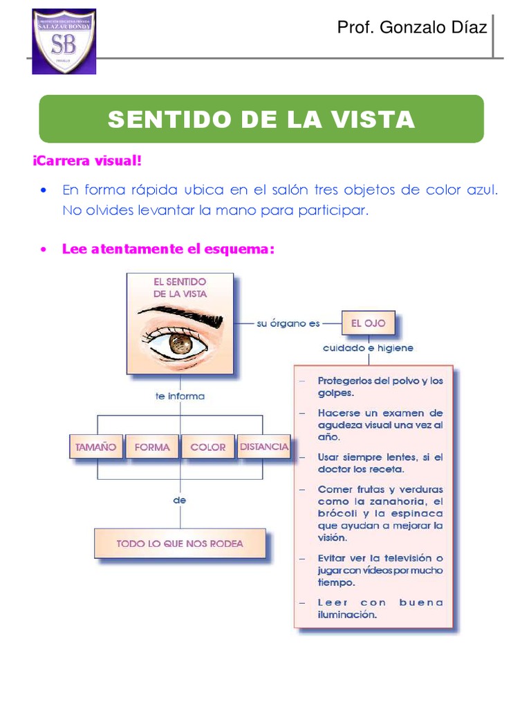 Sentido de La Vista | PDF