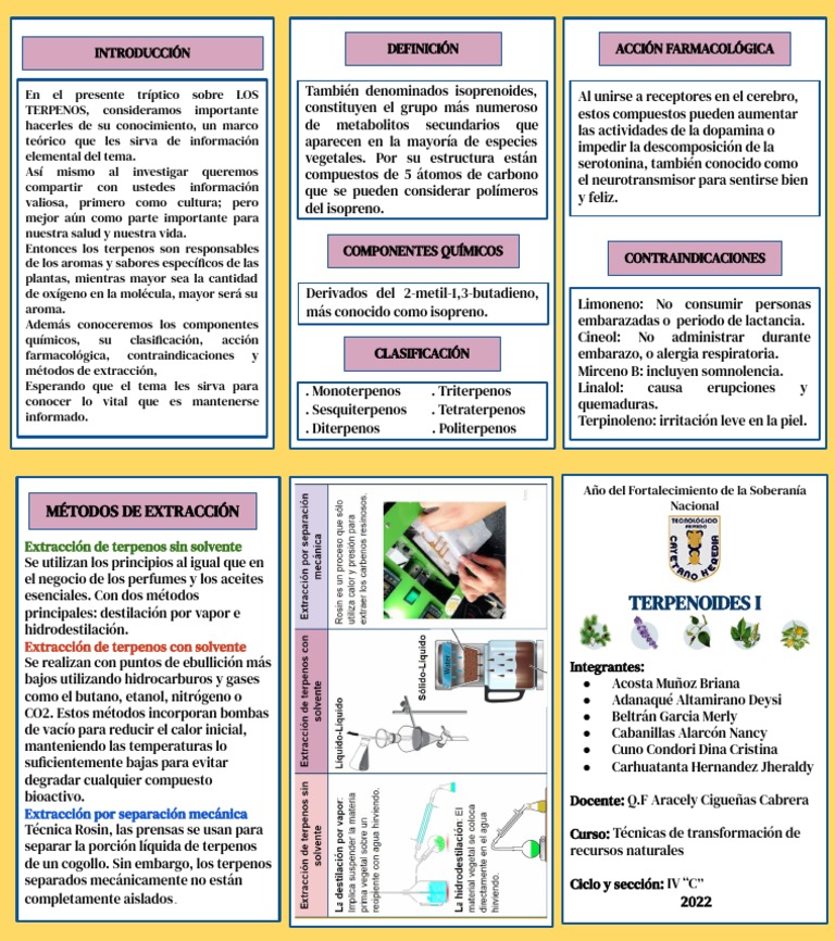 Tríptico terpenos | PDF | Química | Sustancias químicas