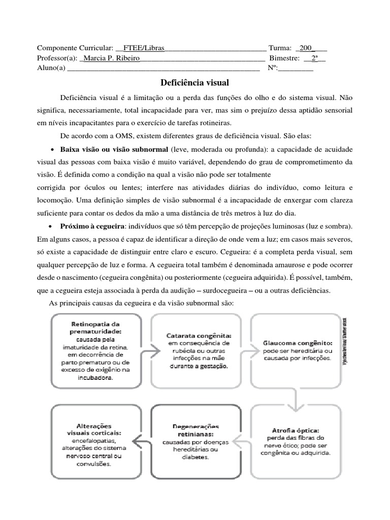 Texto Deficiência Visual | PDF | Deficiência visual | Pedagogia