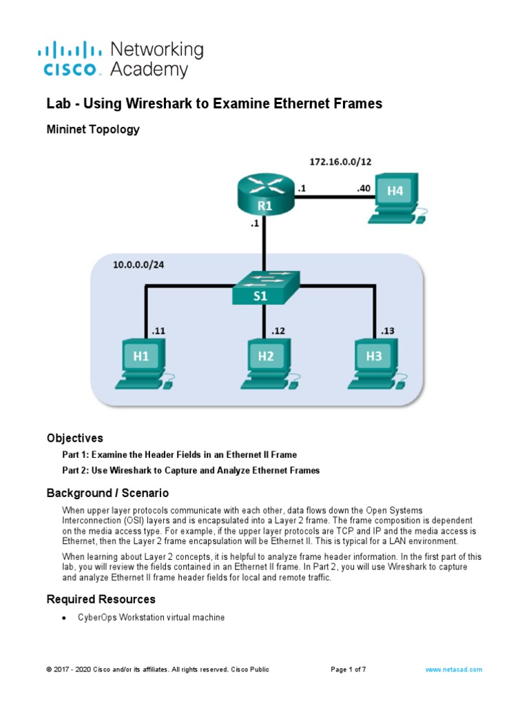 Wireshark Ethernet Frame Analysis Lab | PDF | Ethernet | Osi Model
