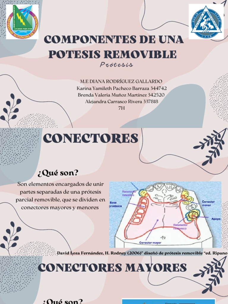 Componentes de Una Potesis Removible: Prótesis | PDF | Dentadura ...