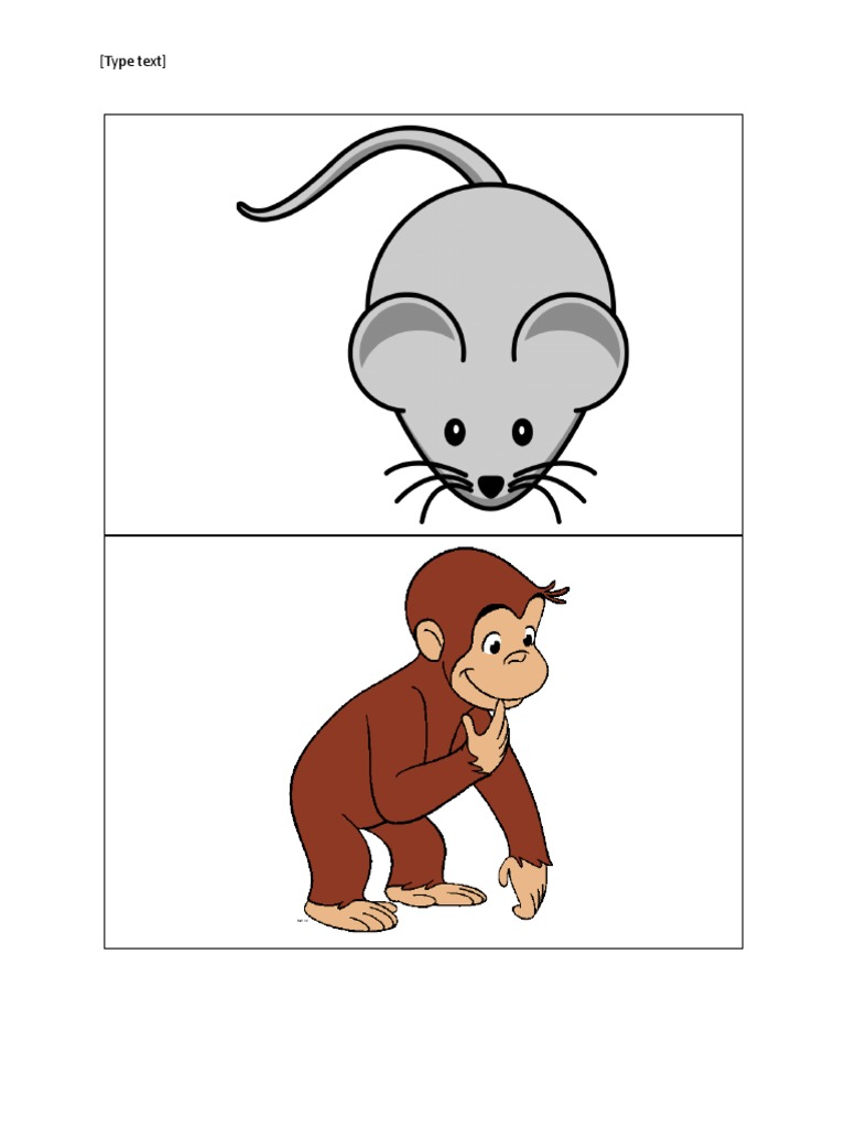 Wonders K-1 Mouse and Monkey Flash Cards | PDF