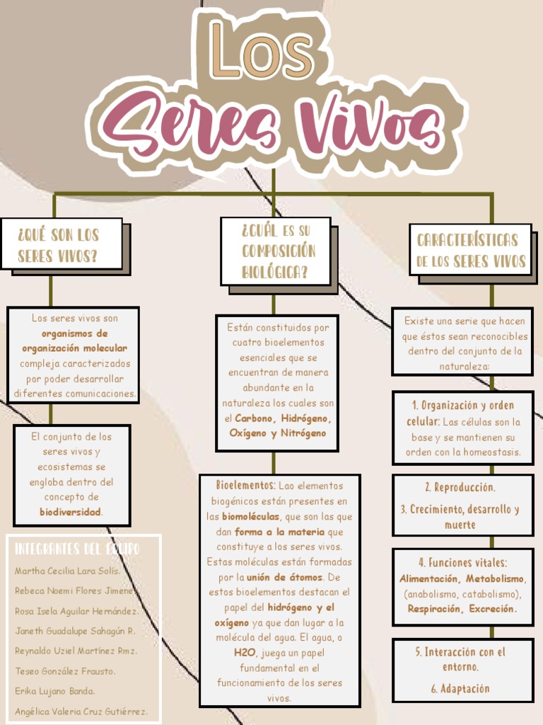 4. MAPA CONCEPTUAL. Los seres vivos | PDF