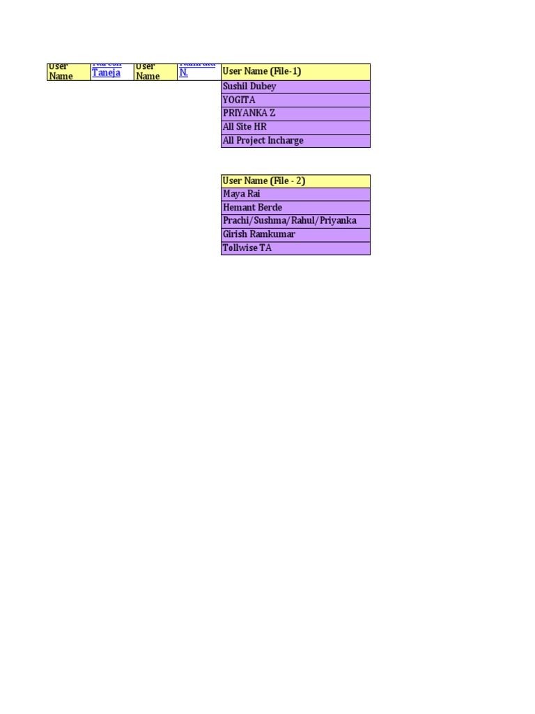 Authorization Matrix 1 | PDF