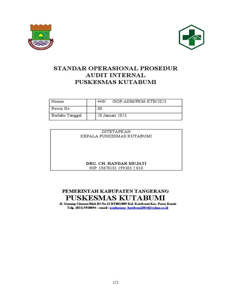 SOP AUDIT INTERNAL | PDF