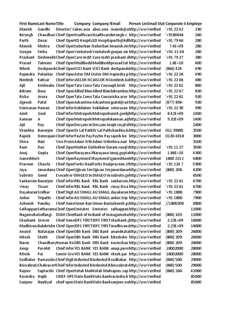 Batch 1 Mix Sample Dataset SalesMonday | PDF