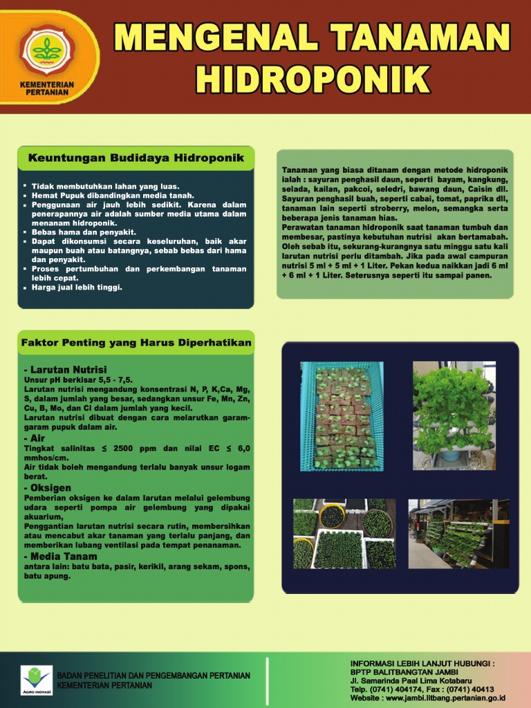 2018 Leaflet Mengenal Tanaman Hidroponik | PDF